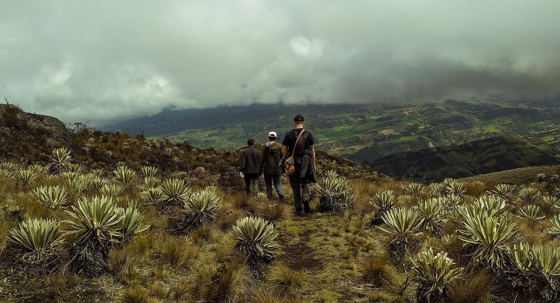 La vida en los páramos: La magia de los páramos andinos